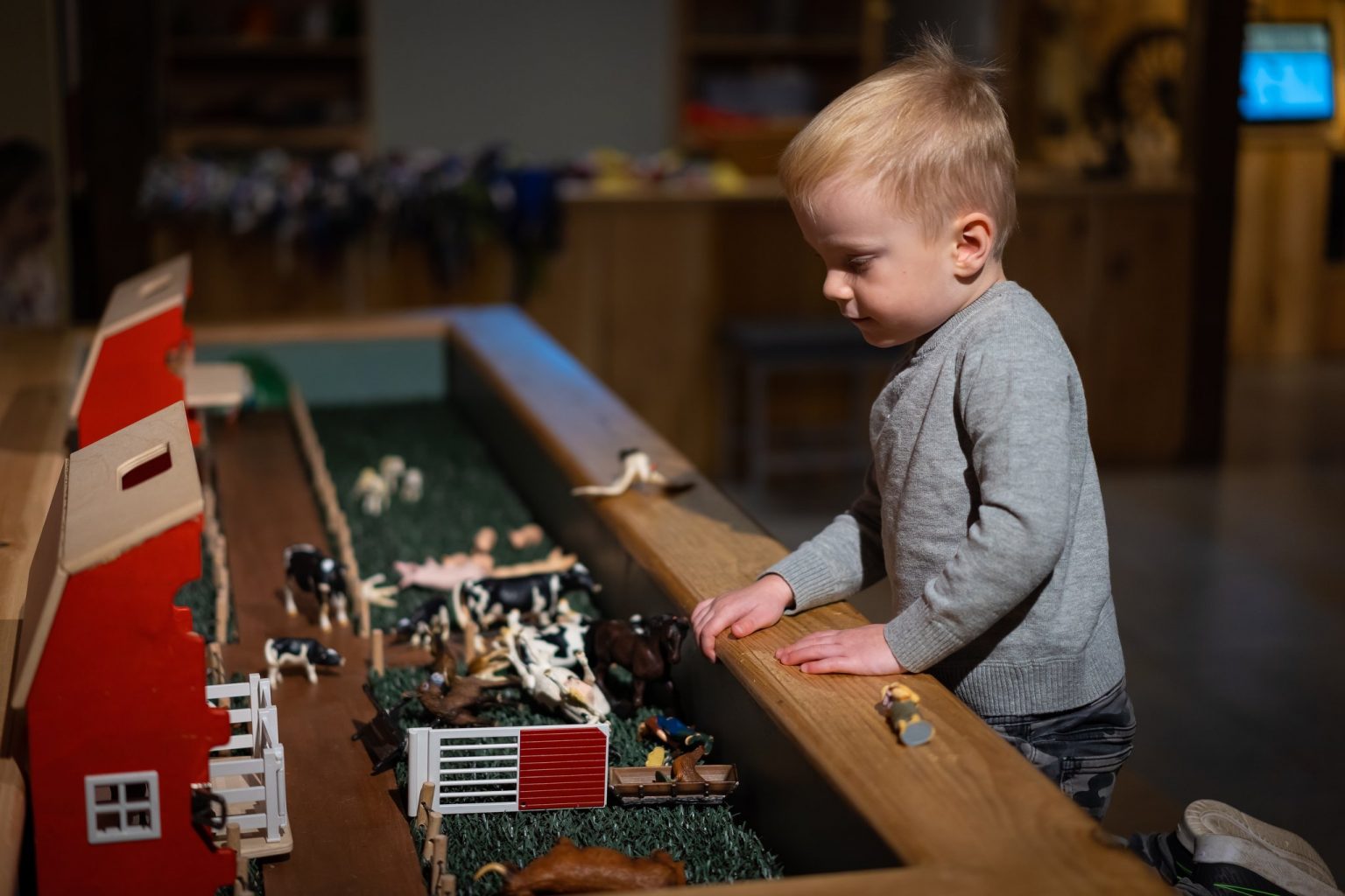 Robert Sutherland - Bruce Museum CA