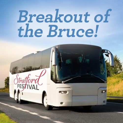 Homepage - Bruce Museum CA