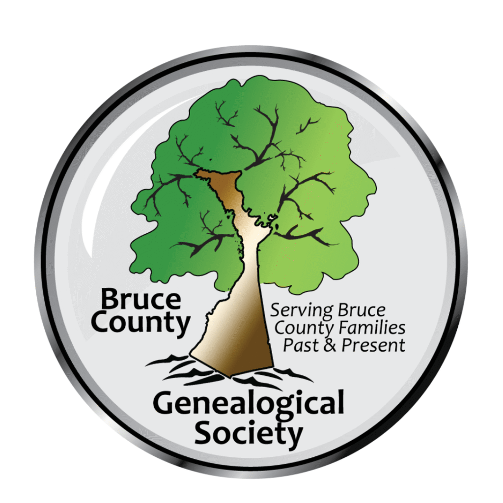 Homepage - Bruce Museum CA